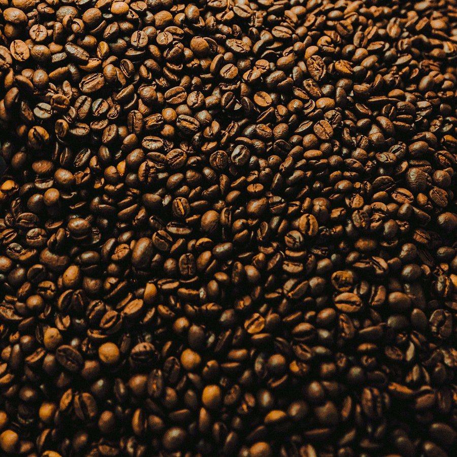 Coffee Beans – Little Fox Coffee